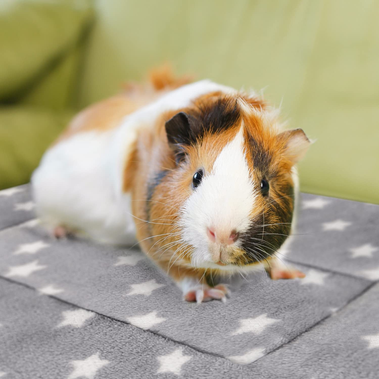 Tierecare 10PCS Guinea Pig Bed Soft Rabbit Bedding Cage Liner Warm Bunny Mats Pee Pads Fleece Blanket Plush Hamster Sleep Beds Ferret Squirrel Hedgehog Rat
