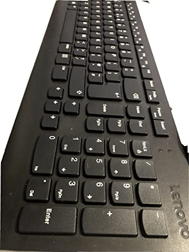 Lenovo 300 USB Keyboard, Wired, Adjustable Tilt, Ergonomic, Windows 7/8/10, GX30M39655, Black