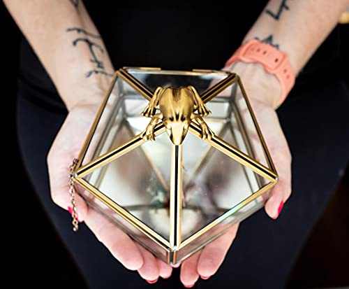 Harry Potter Gold Chocolate Frog Jewelry Box Organizer Display Case Container | Jewelry Dish Trinket Tray For Necklaces, Rings, Bracelets | Home Decor Room Essentials | Wizarding World Gifts