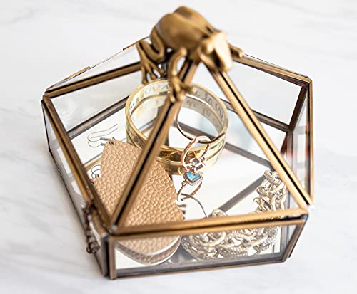 Harry Potter Gold Chocolate Frog Jewelry Box Organizer Display Case Container | Jewelry Dish Trinket Tray For Necklaces, Rings, Bracelets | Home Decor Room Essentials | Wizarding World Gifts