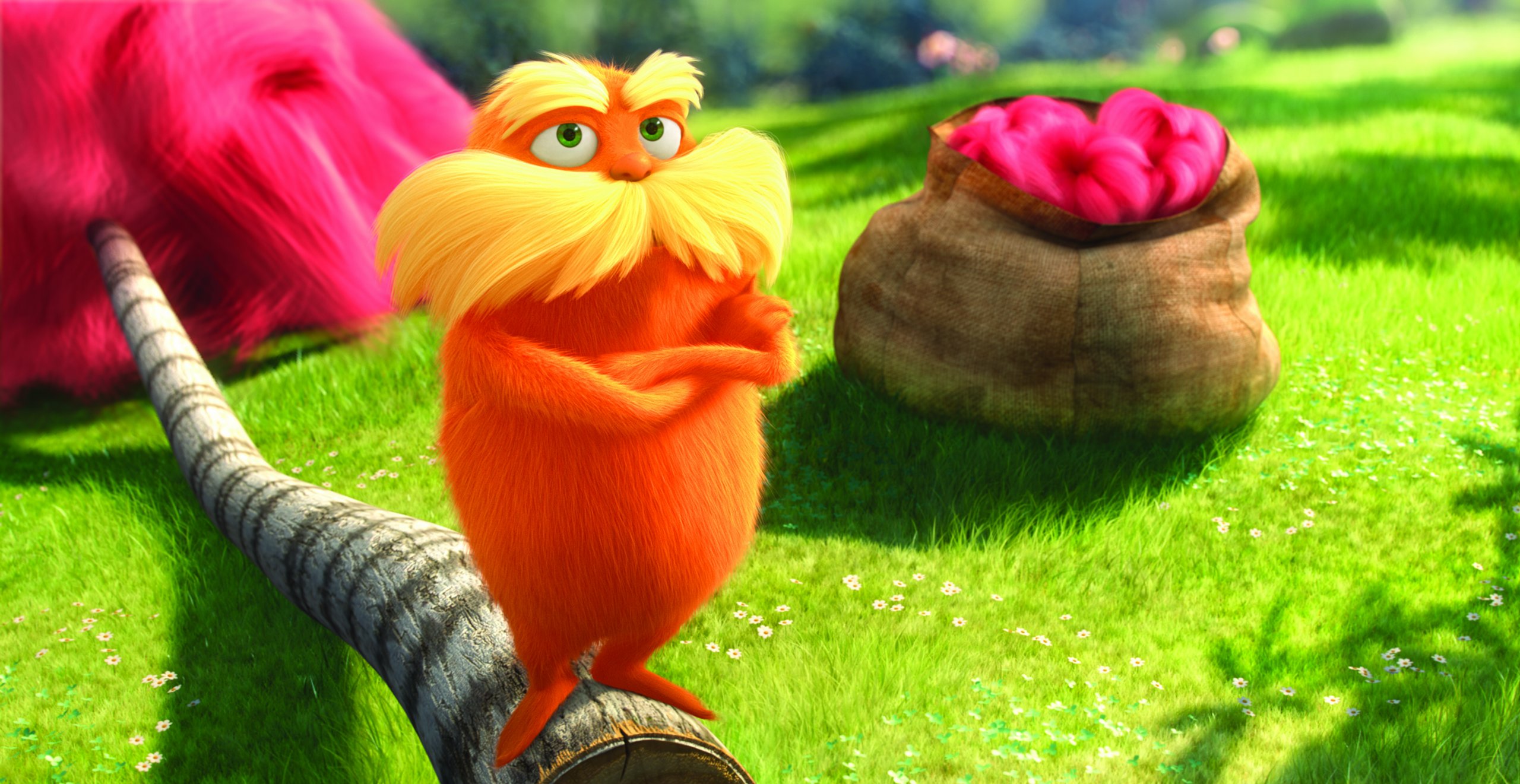 Dr. Seuss' The Lorax [DVD]