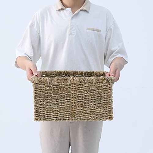 Teri Tale Seagrass Storage Baskets with Wooden Handles, Rectangular Wicker Baskets for Organizing - Decorative Wicker Storage Basket for Living Room (Large)