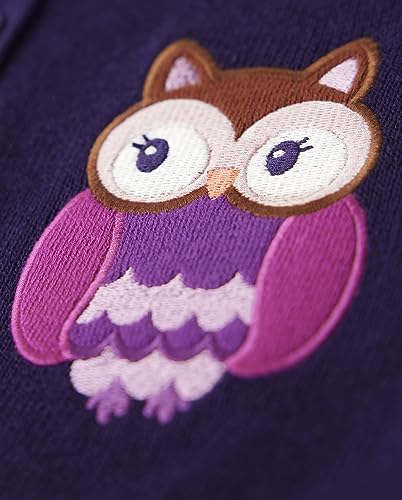 Gymboree,and Toddler Long Sleeve Cardigan Sweaters,Owl,7