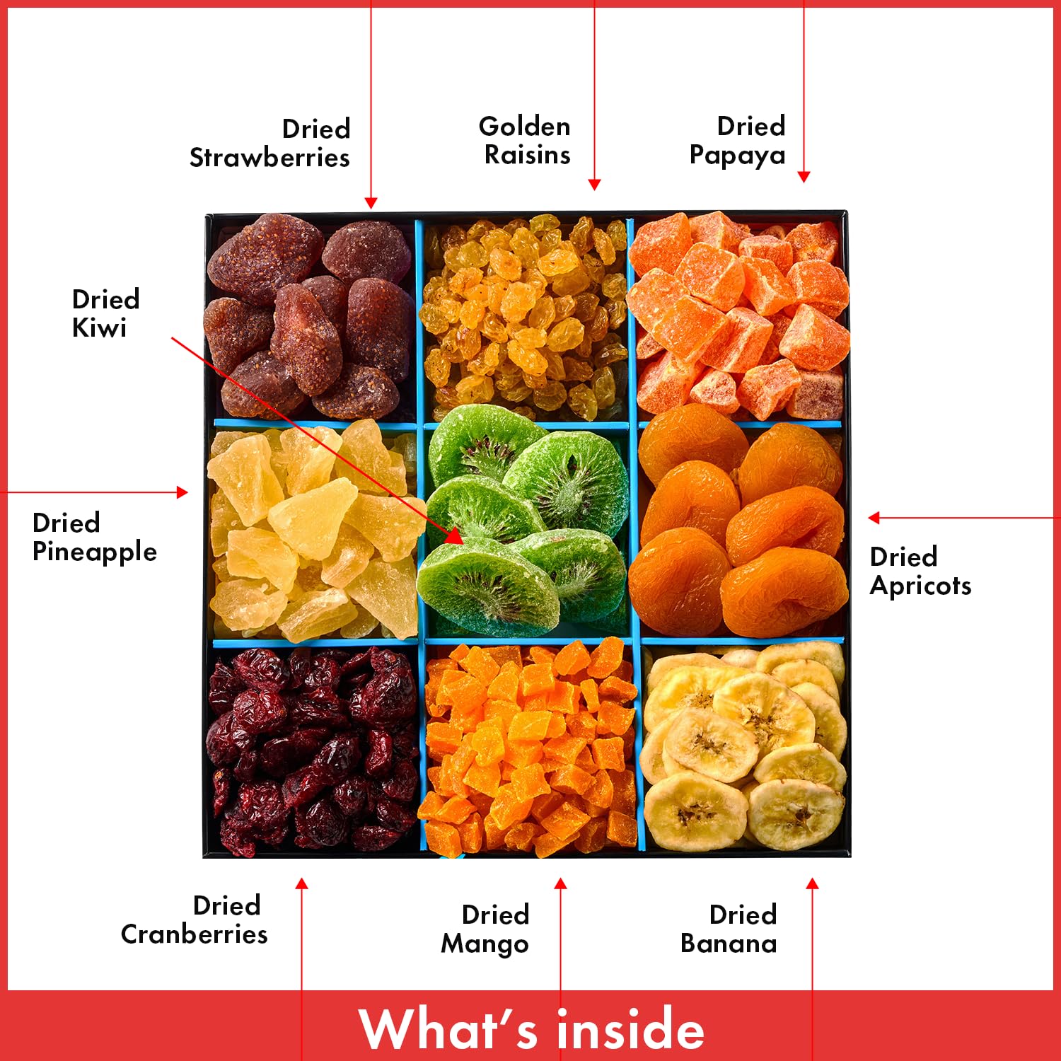 Dried Fruit Platter - 9 Variety Fruit - Dried Fruit Gift Tray - Healthy Fruit Gift Basket - Gourmet HolidayGift Box