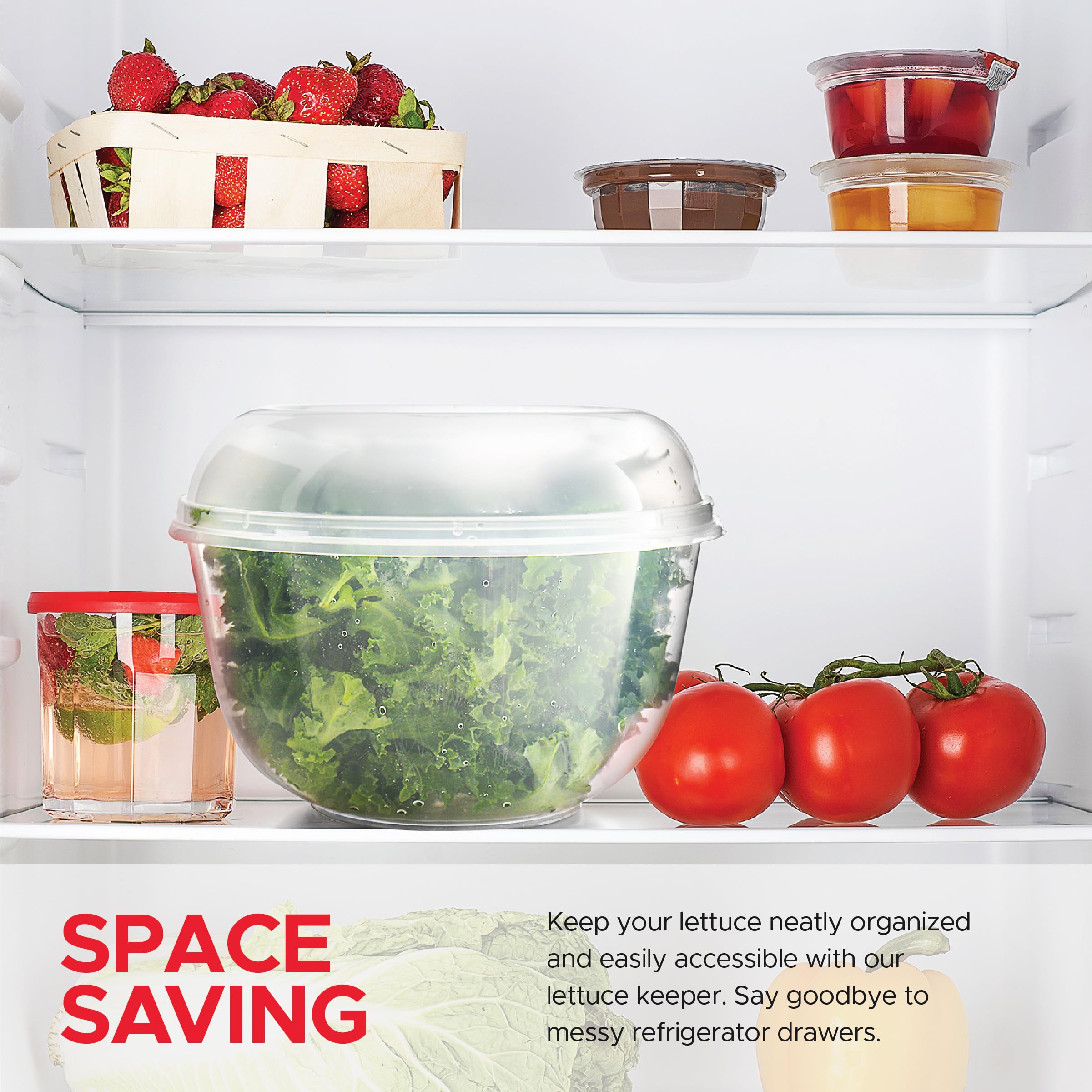 Tafura Lettuce Keeper for Fridge, Lettuce Crisper, Vegetable Saver with Cover, Lettuce Storage Container with Lid, Crisp and Fresh Greensaver, Salad Saver Box.