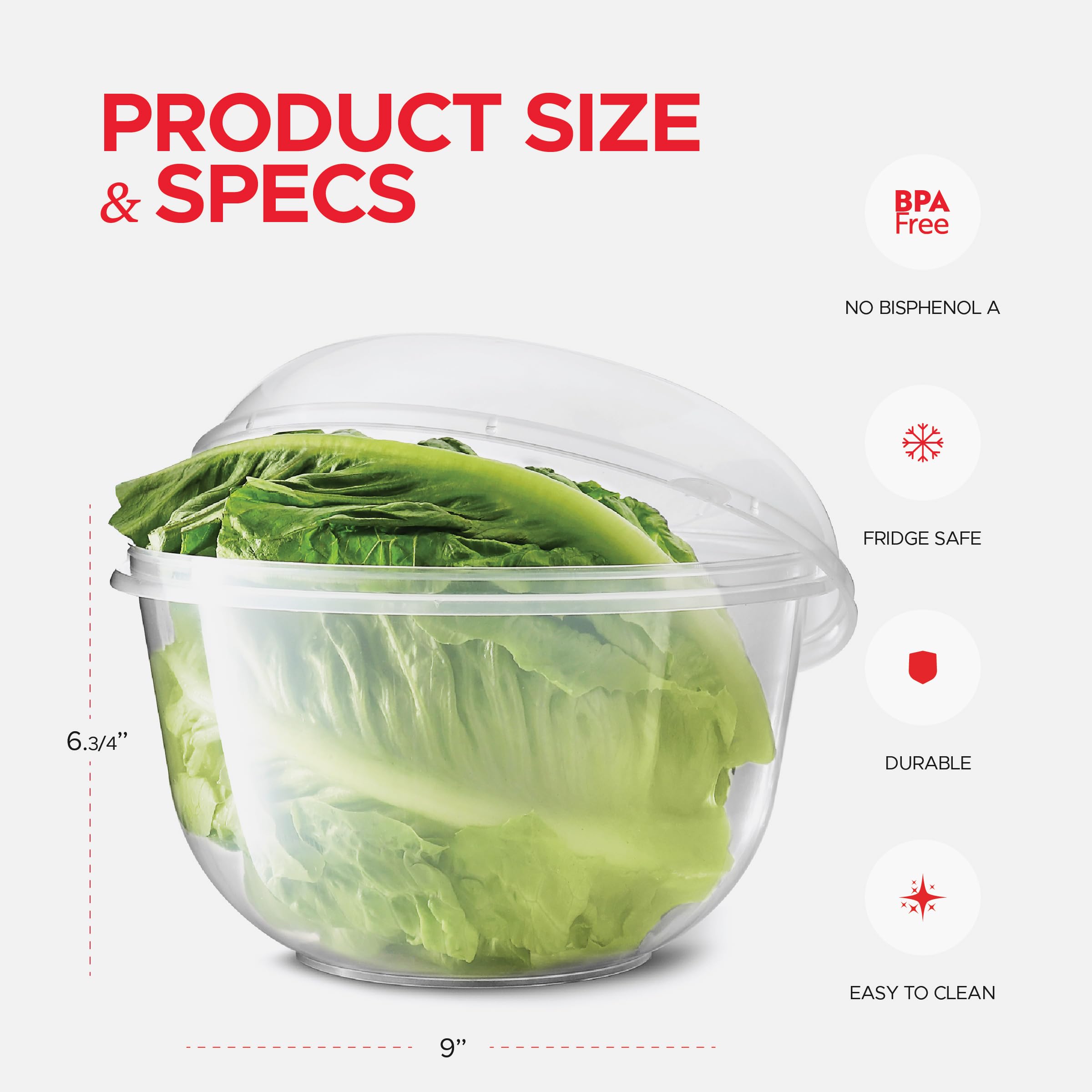 Tafura Lettuce Keeper for Fridge, Lettuce Crisper, Vegetable Saver with Cover, Lettuce Storage Container with Lid, Crisp and Fresh Greensaver, Salad Saver Box.