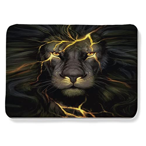 RUI&TONG Black and Gold Lion Animal Theme Interior Doormat Front Area Rug, Absorbent Non Slip Entry Rug, 39x60inches( 100x150cm)