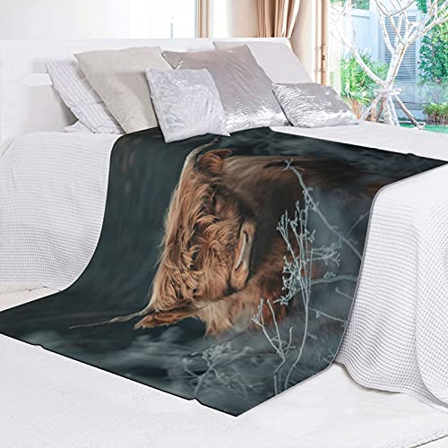 LEOPLESIC Ultra Soft Flannel Brown Cow Throw Blanket,Highland Cattle Landscape Rustic Farmhouse Cow Landscape Lightweight Cozy Sherpa Bed Blanket 50"x40",(Gray, Brown)