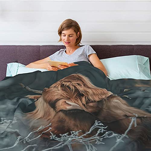 LEOPLESIC Ultra Soft Flannel Brown Cow Throw Blanket,Highland Cattle Landscape Rustic Farmhouse Cow Landscape Lightweight Cozy Sherpa Bed Blanket 50"x40",(Gray, Brown)