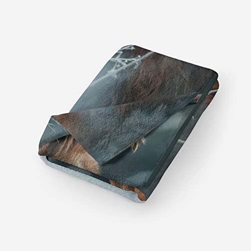 LEOPLESIC Ultra Soft Flannel Brown Cow Throw Blanket,Highland Cattle Landscape Rustic Farmhouse Cow Landscape Lightweight Cozy Sherpa Bed Blanket 50"x40",(Gray, Brown)