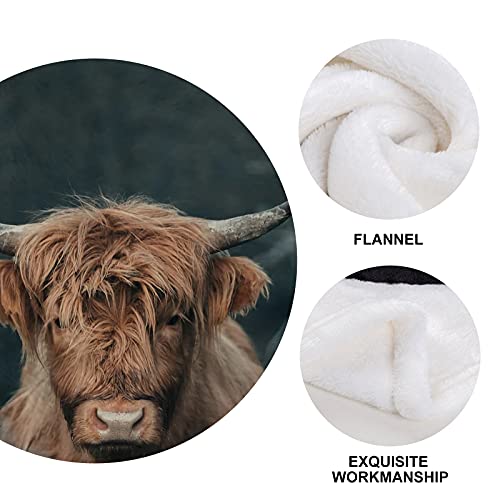 LEOPLESIC Ultra Soft Flannel Brown Cow Throw Blanket,Highland Cattle Landscape Rustic Farmhouse Cow Landscape Lightweight Cozy Sherpa Bed Blanket 50"x40",(Gray, Brown)
