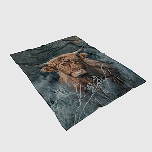 LEOPLESIC Ultra Soft Flannel Brown Cow Throw Blanket,Highland Cattle Landscape Rustic Farmhouse Cow Landscape Lightweight Cozy Sherpa Bed Blanket 50"x40",(Gray, Brown)