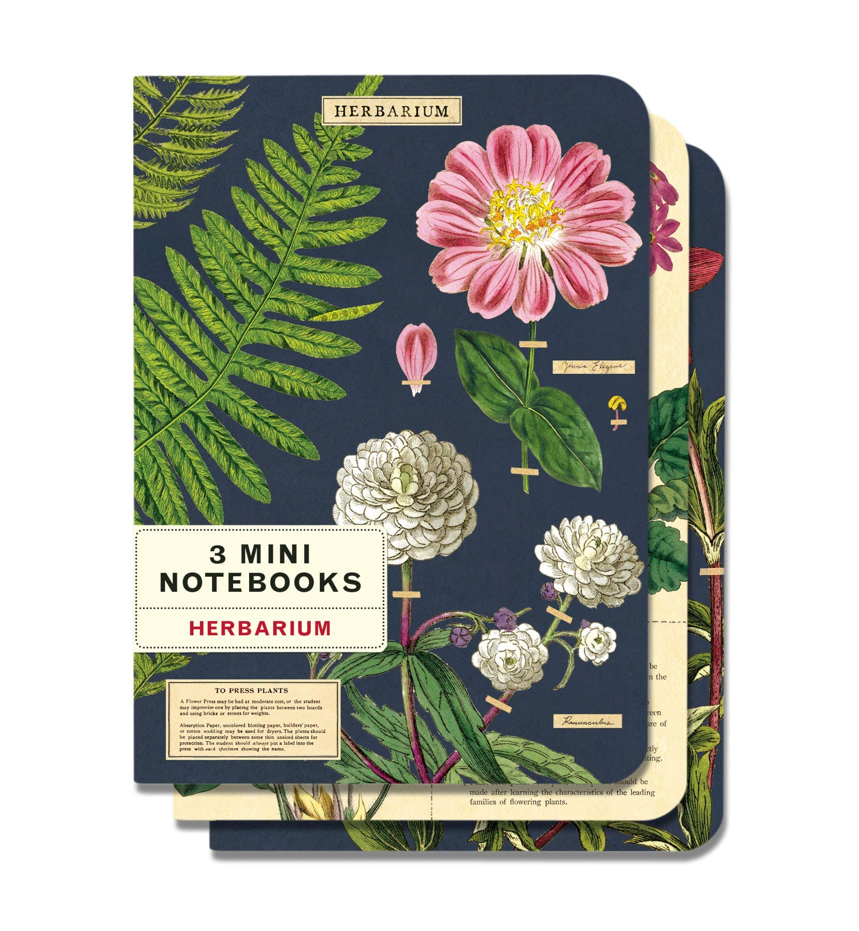 Herbarium Mini Notebooks