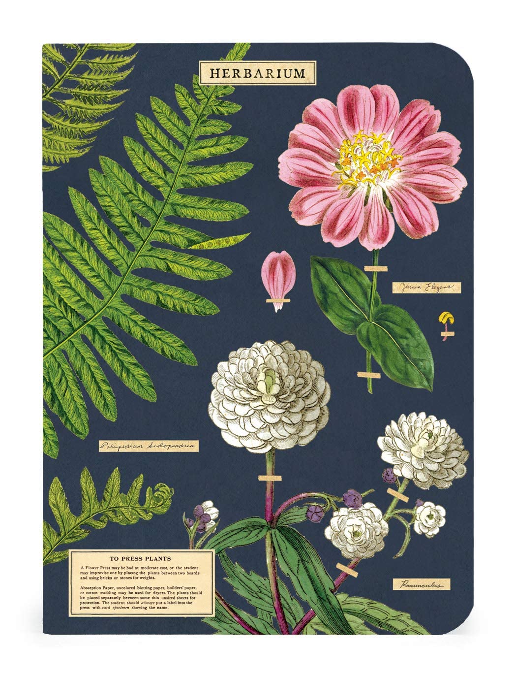 Herbarium Mini Notebooks