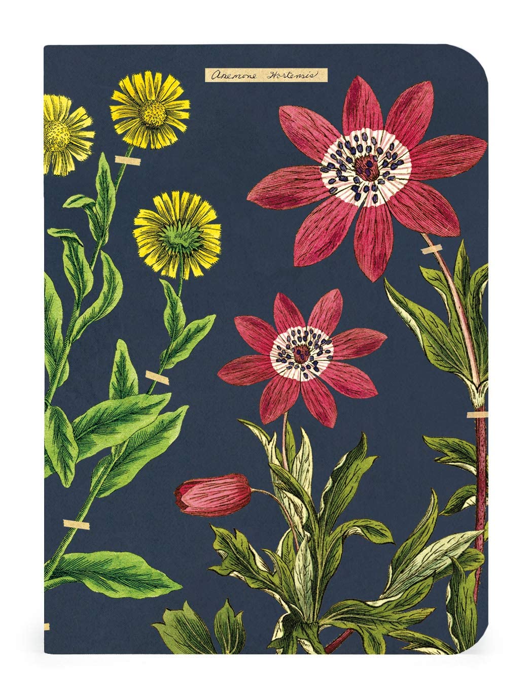 Herbarium Mini Notebooks