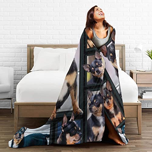 Cute Chihuahua Dog Black Lovely Puppy Printed Ultra-Soft Throw Blanket Home Decorative Blanket for Living Room Bed Sofa
