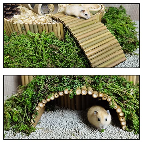 Hamster Guinea Pig Chew Toys, Hamster Rat Gerbil Mice Toys with Climbing Ladder and Hideout, Hamster Exercise Accessories for Syrian Dwarf Hamsters