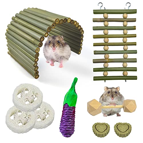 Hamster Guinea Pig Chew Toys, Hamster Rat Gerbil Mice Toys with Climbing Ladder and Hideout, Hamster Exercise Accessories for Syrian Dwarf Hamsters