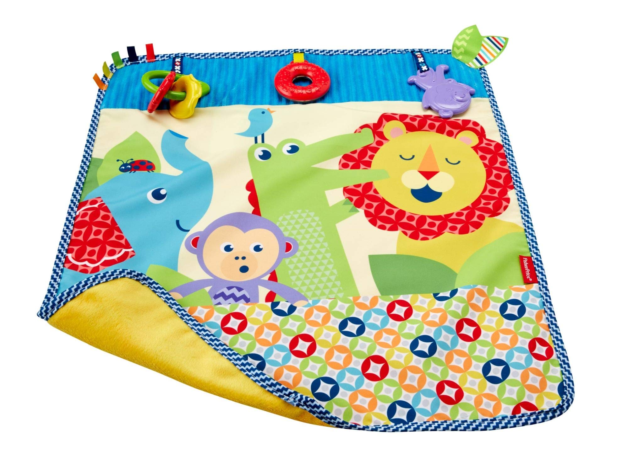 Fisher-Price On-the-Go Activity Throw