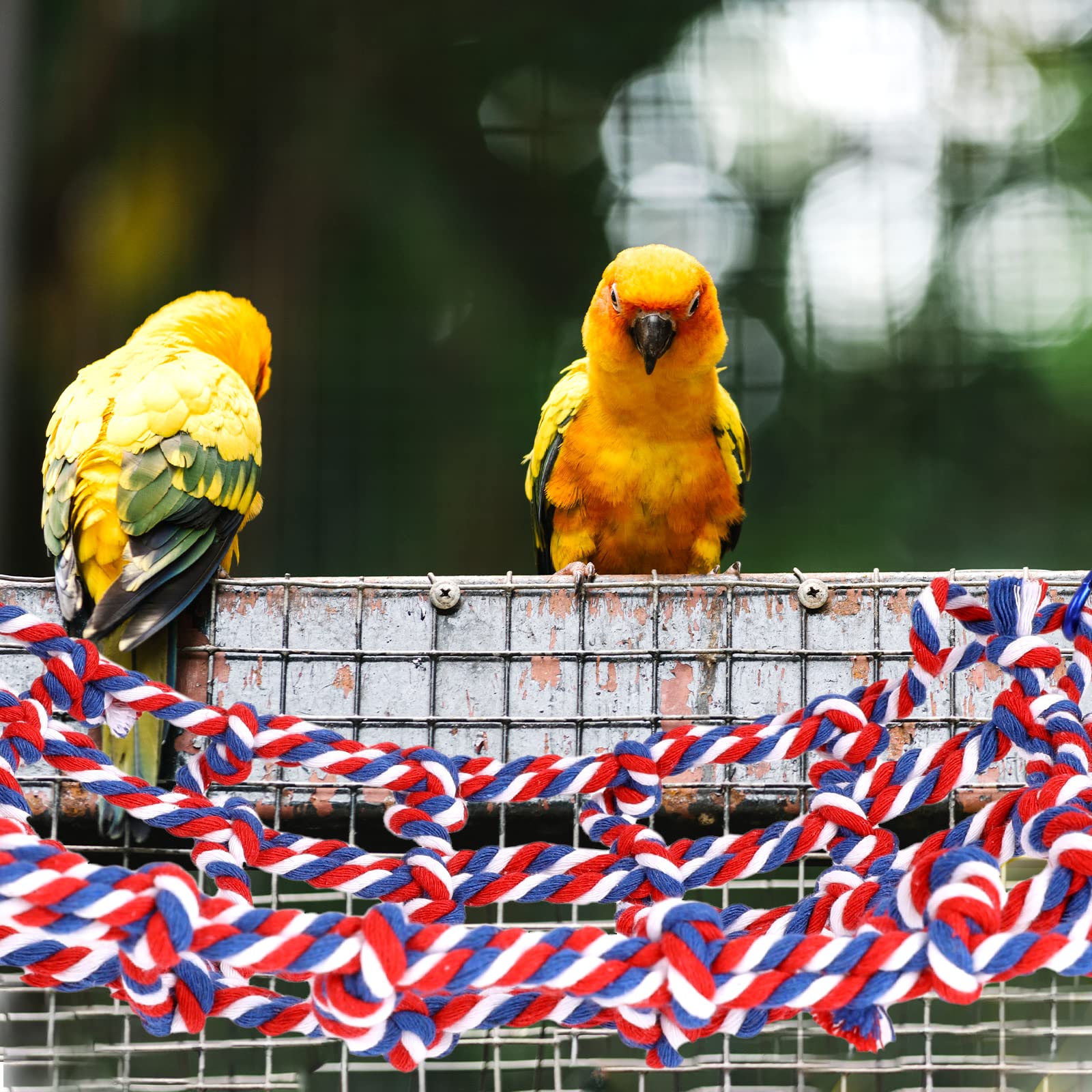2 Pack Bird Rope Net Climbing Ladder Bird Rope Net Bridge Hamster Ladder Rat Rope Net Pet Rat Toys Rat Cage Accessories