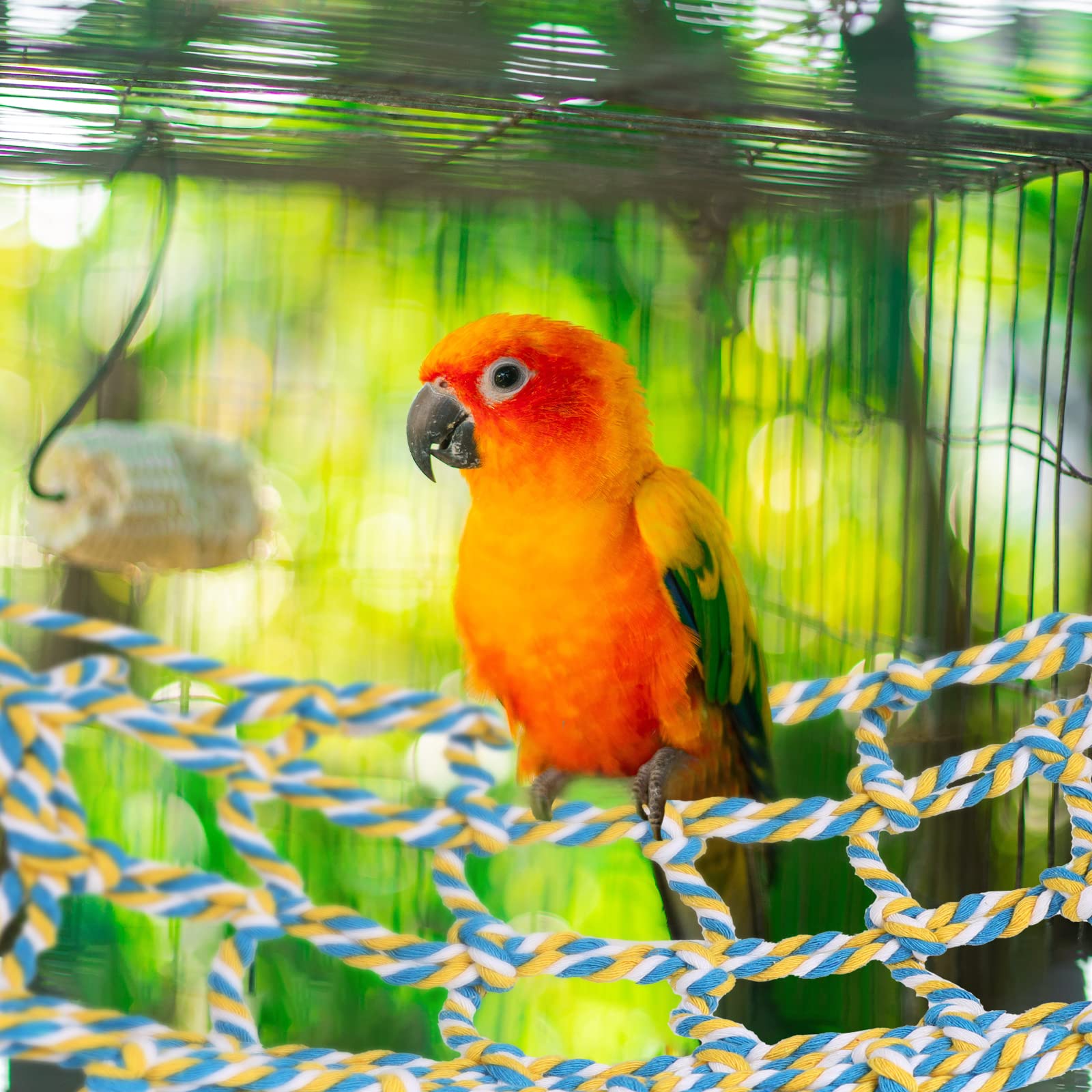 2 Pack Bird Rope Net Climbing Ladder Bird Rope Net Bridge Hamster Ladder Rat Rope Net Pet Rat Toys Rat Cage Accessories