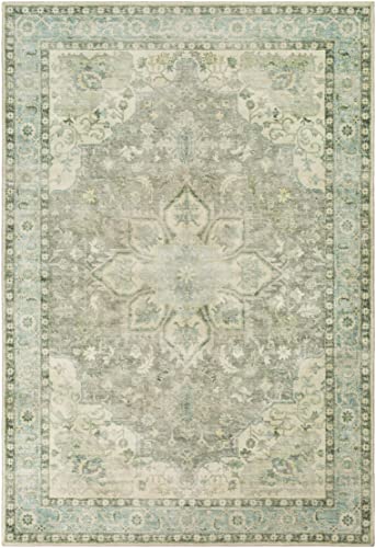 Mark&Day Area Rugs, 8x10 Heiereind Traditional Sage Area Rug Green Gray Blue Carpet for Living Room, Bedroom or Kitchen (7'6" x 9'6")