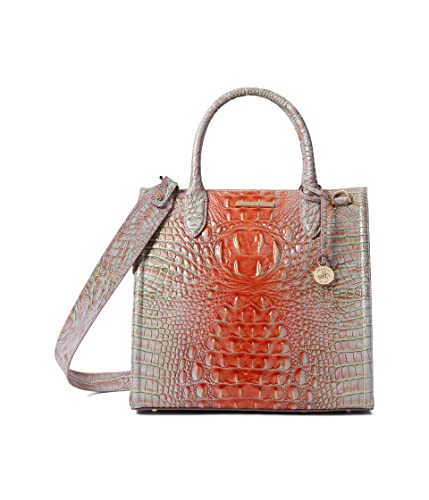 BRAHMIN Ombre Melbourne Caroline Satchel Flirty One Size