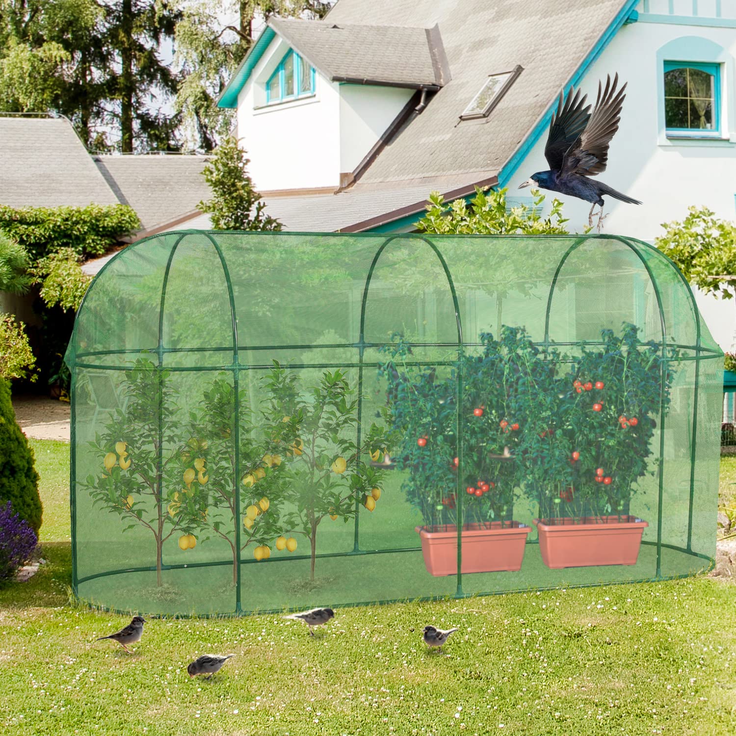 BPS 10'x3.3'x5' Crop Cage Plant Protection Netting Tent with Zipper for Vegetables Fruits and Plant, Suitable for Garden Yard and Lawn