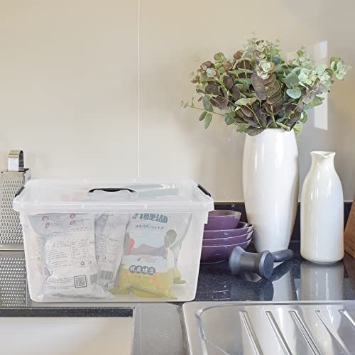 Parlynies Set of 4 Plastic Storage Box with Lid, 18 L Latching Storage Containers Bin, Clear