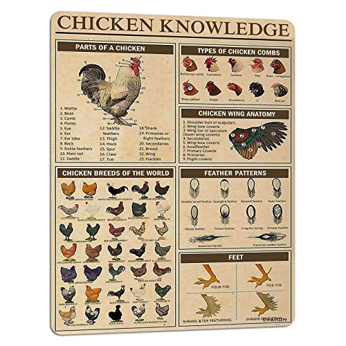 PAIION Chicken Knowledge Metal Tin Sign Chicken Breeds of The World Infographics Poster for Club Cafe Bar Home Kitchen Wall Decorations 16x12 Inch