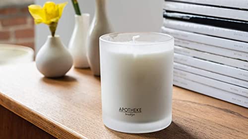 APOTHEKE White Vetiver Signature Candle, 1 EA