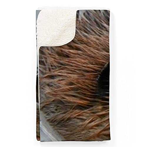 CafePress Beaver Swimming Sherpa Fleece Throw Blanket