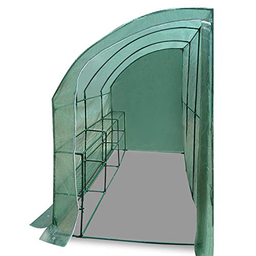 Strong Camel Greenhouse Walk in Outdoor Portable Green House UV Protected Plant Gardening Greenhouse, 10'x5'x7' (Green)