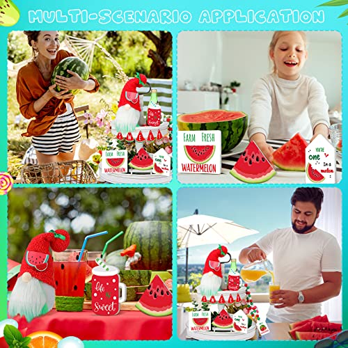 11 Pieces Watermelon Tiered Tray Decor Watermelon Wooden Kitchen Signs Watermelon Gnome Banner Beaded Garland Decor Set My Happy Summer Decor for Summer Fall Rustic Decor (Red)