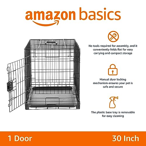 Amazon Basics - Durable, Foldable Metal Wire Dog Crate with Tray, Single Door, 30 x 19 x 21 Inches, Black