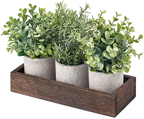 Dahey 3 Pack Mini Potted Artificial Eucalyptus Fake Plants with Wood Tray Centerpiece Table Decor, Farmhouse Pulp Flower Pots Greenery Home Decoration for Coffee Table Dining Room Office Kitchen