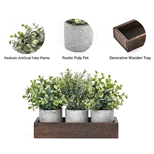 Dahey 3 Pack Mini Potted Artificial Eucalyptus Fake Plants with Wood Tray Centerpiece Table Decor, Farmhouse Pulp Flower Pots Greenery Home Decoration for Coffee Table Dining Room Office Kitchen