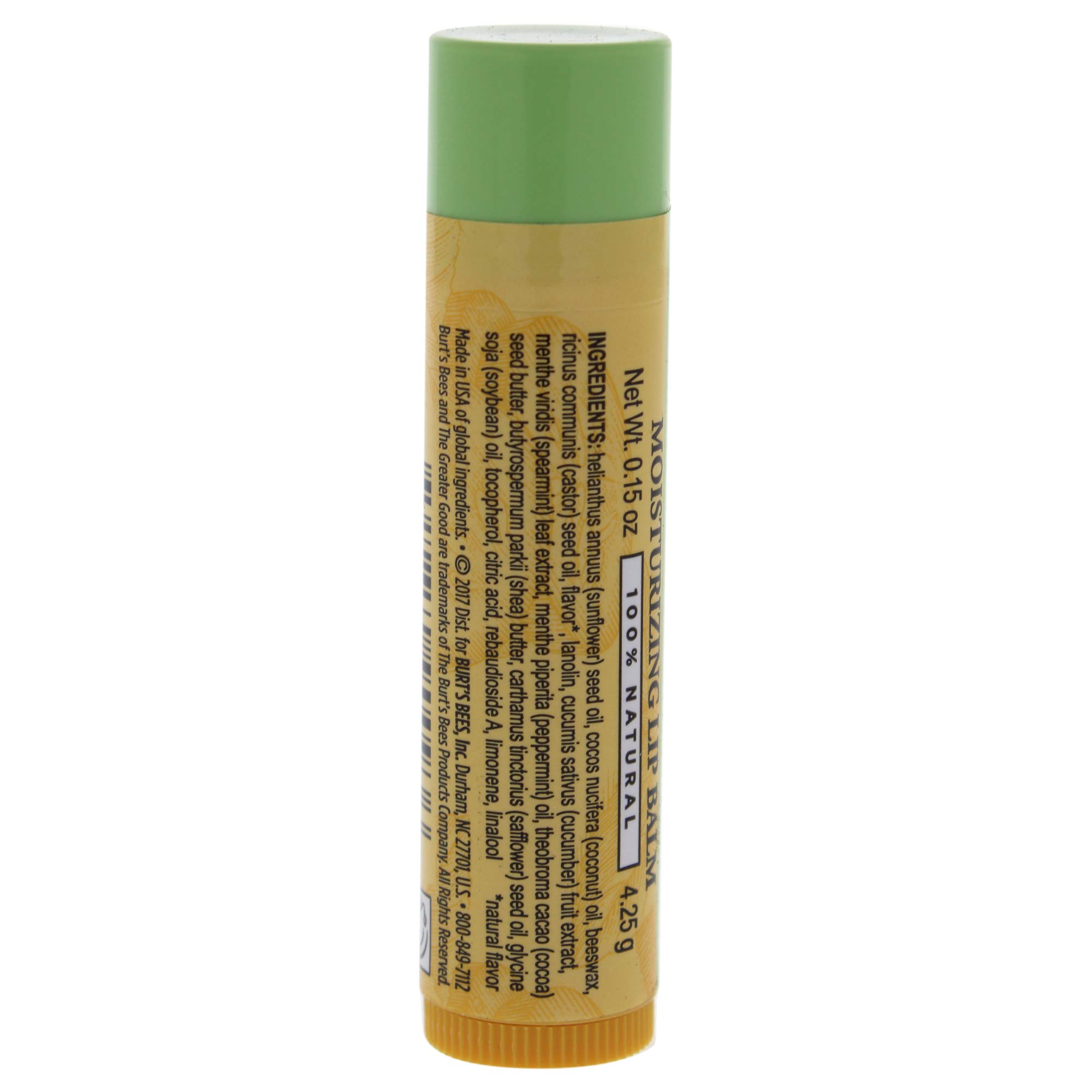 Burts Bees Cucumber Mint Moisturizing Lip Balm for Women, Orange, 0.15 Oz