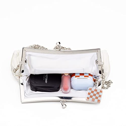 RISNREN Women Small Satin Evening Bags Clutch Purses Bag for Wedding Party Formal Dressy Handbag