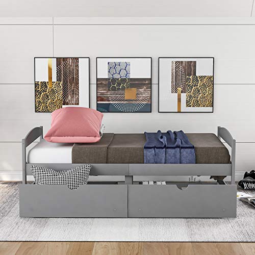 Lifeand Twin Size Daybed with 2 Drawers,Wood Storage Platform Bed for Kids Teens and Adults,No Box Spring Needed