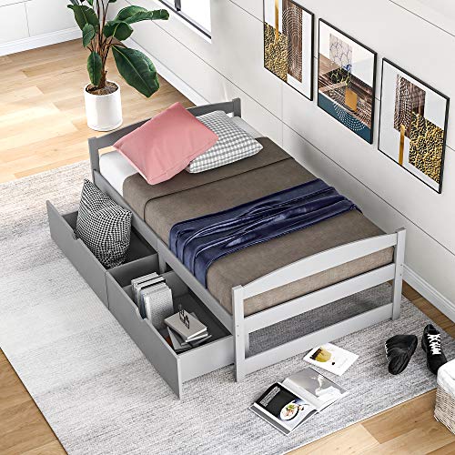 Lifeand Twin Size Daybed with 2 Drawers,Wood Storage Platform Bed for Kids Teens and Adults,No Box Spring Needed