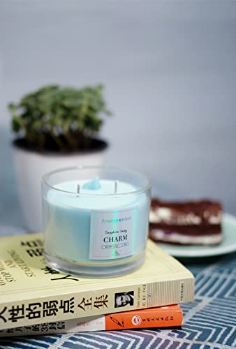 Impressive Natural Soy Lavender&Lemon Candles for Home Scented,Medium Jar Candles ,Candles Gift ,10.5oz 35Hour Burn Time 2-Wicks, Blue