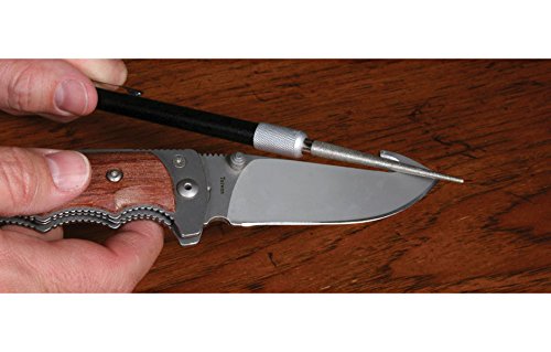 AccuSharp Professional Dual Rod Knife Sharpener, Retractable Diamond-Coated Steel Rod, Sharpens, Restores, Repairs & Hones Straight & Serrated Knives