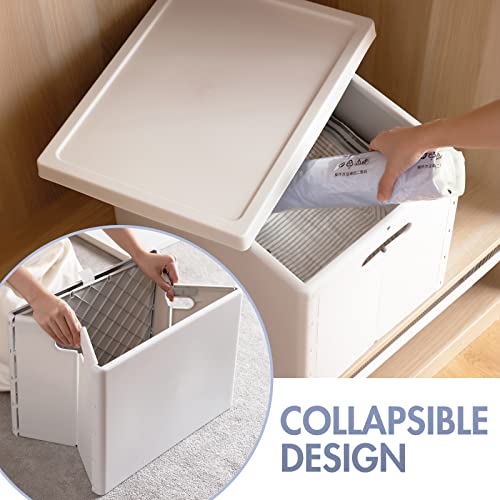 TAILINK Storage Bins 2 Pack 32L & Vacuum Storage Bags 9 Pieces, Collapsible & Stackable Storage Box Folding Storage Containers for Organizing Clothes, Toys, Books, 80% Space Released