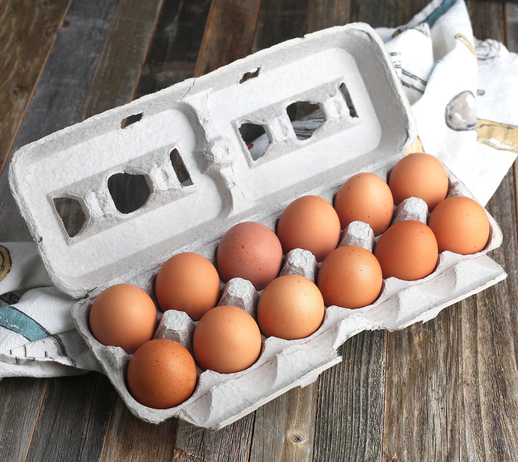 Printed Natural Pulp Egg Cartons Holds Up to Twelve Eggs - 1 Dozen Extra Large - Strong Sturdy Material Perfect For Storing Extra Eggs - by MT Products (25 Cartons) - Made in The USA