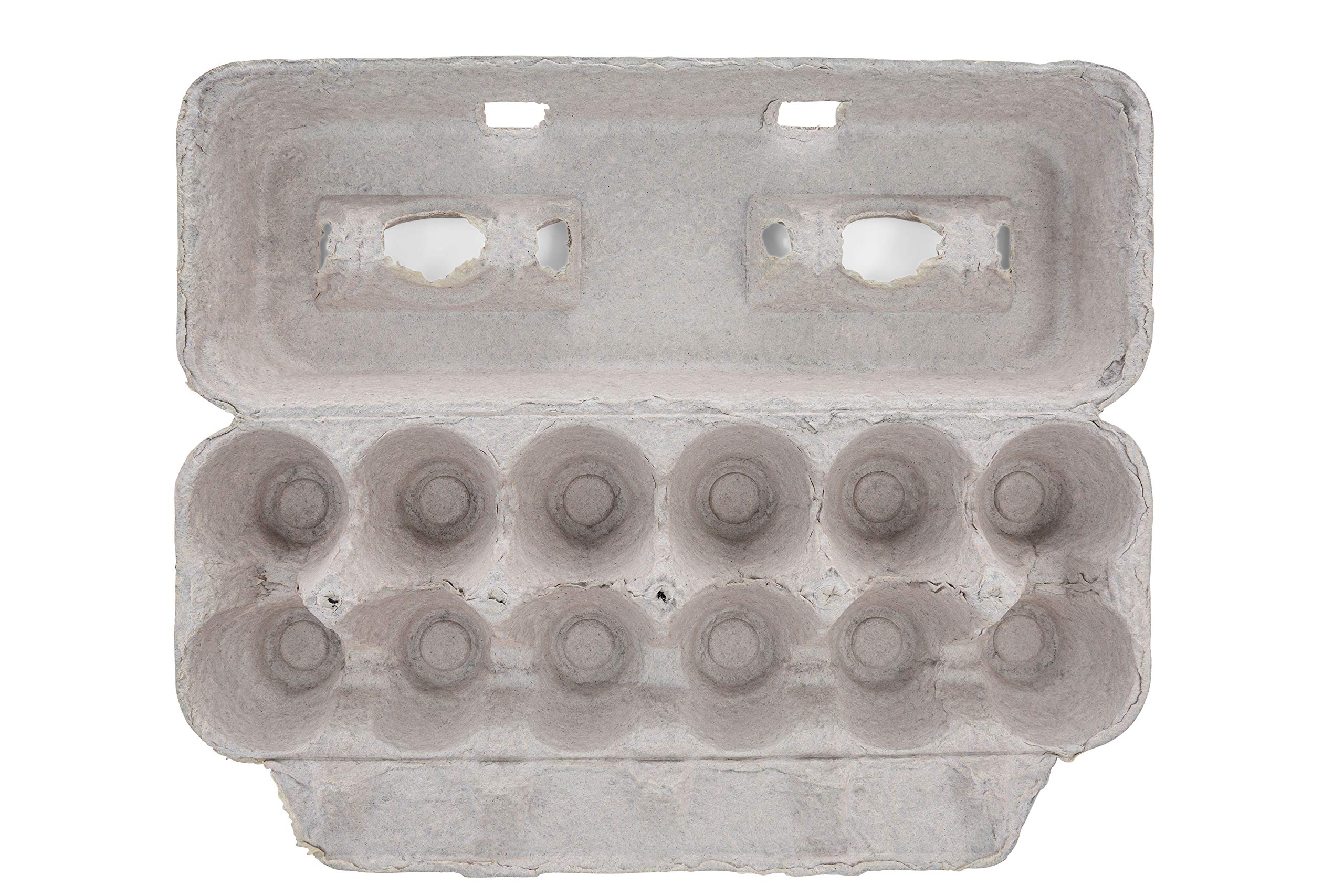 Printed Natural Pulp Egg Cartons Holds Up to Twelve Eggs - 1 Dozen Extra Large - Strong Sturdy Material Perfect For Storing Extra Eggs - by MT Products (25 Cartons) - Made in The USA