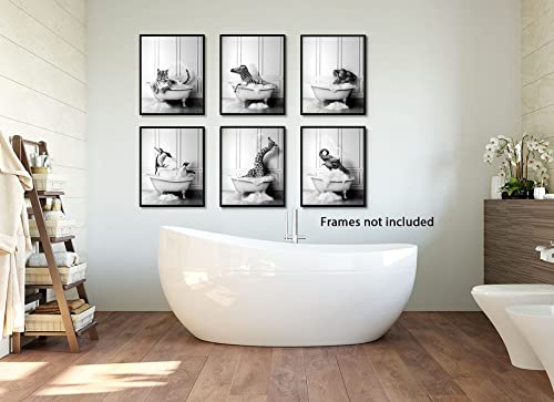 Funny Bathroom Decor Wall Art β Unframed Set of 6 (8 x 10 Inch) β Bathroom Wall Decor, Black and White Bathroom Decor, Kids Bathroom Decor, Animal Giraffe Penguin Elephant Bathroom Pictures for Wall Decor by LIYA Design Prints