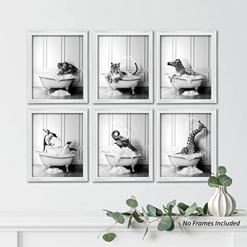Funny Bathroom Decor Wall Art β Unframed Set of 6 (8 x 10 Inch) β Bathroom Wall Decor, Black and White Bathroom Decor, Kids Bathroom Decor, Animal Giraffe Penguin Elephant Bathroom Pictures for Wall Decor by LIYA Design Prints