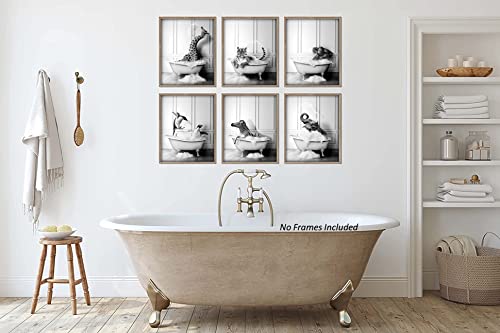 Funny Bathroom Decor Wall Art β Unframed Set of 6 (8 x 10 Inch) β Bathroom Wall Decor, Black and White Bathroom Decor, Kids Bathroom Decor, Animal Giraffe Penguin Elephant Bathroom Pictures for Wall Decor by LIYA Design Prints