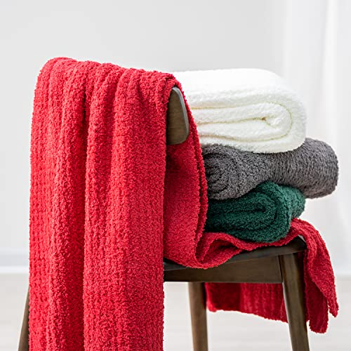 RECYCO Super Soft Throw Blankets for Bed, Warm Cozy Knit Blanket Lightweight Fluffy Throw Blanket for Couch Sofa Chair Living Room, Light Grey, 60x80 Inches, Laundry Bag Included